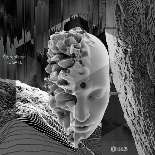 Stream The Gate by Stereoliner | Listen online for free on SoundCloud