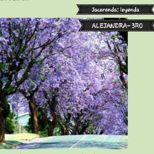 Stream Alejandra Leyenda Del Jacaranda by julia | Listen online for ...