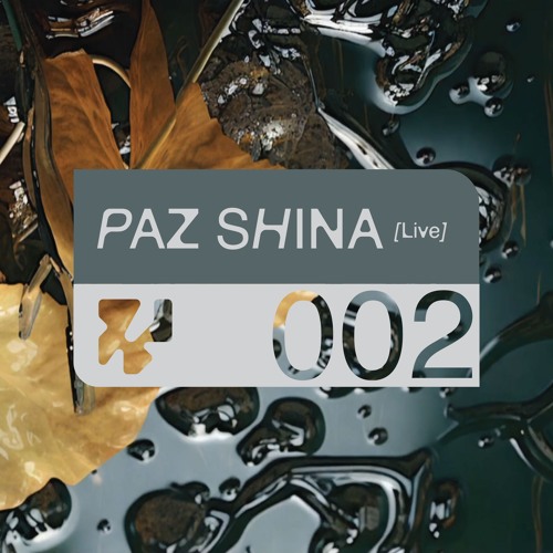 Stream 002 - Paz Shina (live) | Vertigo Festival 2025 by Vertigo Festival | Listen online for ...