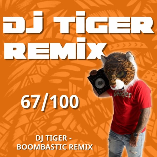 Stream DJ TIGER - Shaggy - BOOMBASTIC REMIX by djsamtiger | Listen ...
