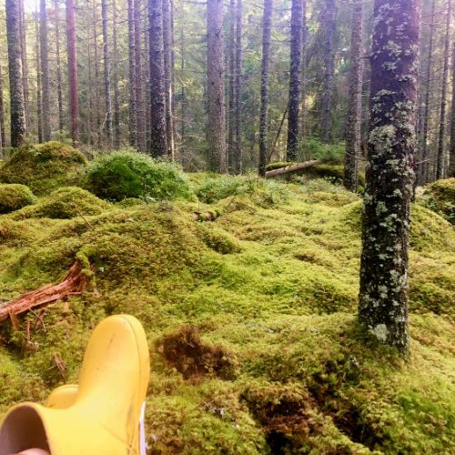 Stream jedi mixtape for listening pleasure by Red eye Jedi | Listen ...