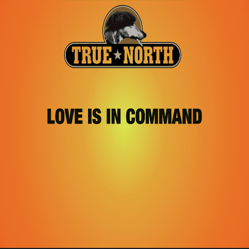 Stream True North - LOVE IS IN COMMAND by TRUE NORTH | Listen online ...