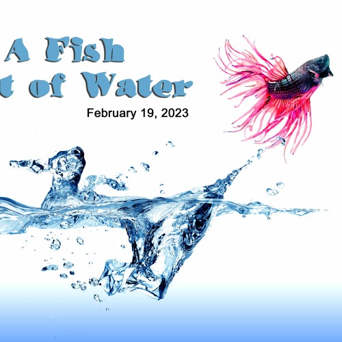 Stream 23.02.19 A Fish Out Of Water By Rev. Seth Ethan Carey by First ...