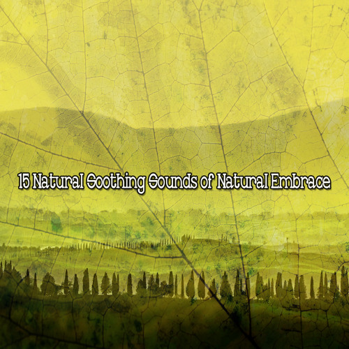 Stream Biblioteca de sonidos XL by Sound Library XL | Listen online for ...