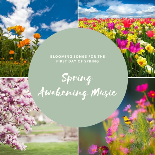 Stream Spring Awakening Music by Meditation Relax Club | Listen online ...