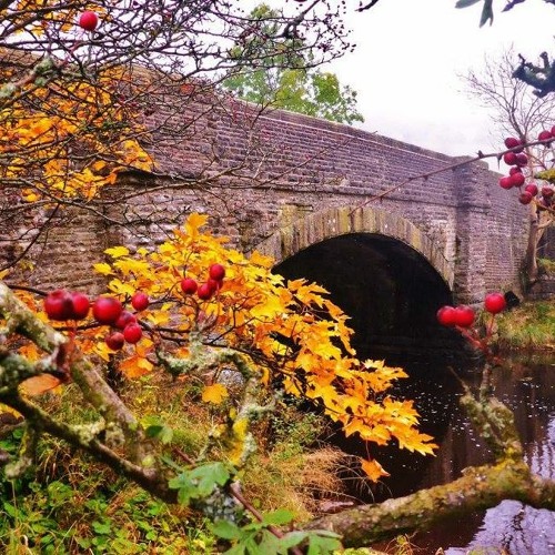 Stream Sans Day Carol - Alto harmony by David Burbidge | Listen online ...