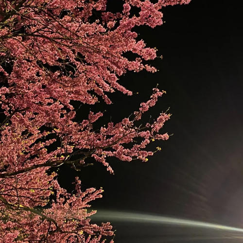 Stream aphex twin - qkthr (slowed reverb) by kepvo | Listen online for ...