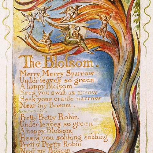 Stream The Blossom - William Blake --- in song by Ian | Listen online ...