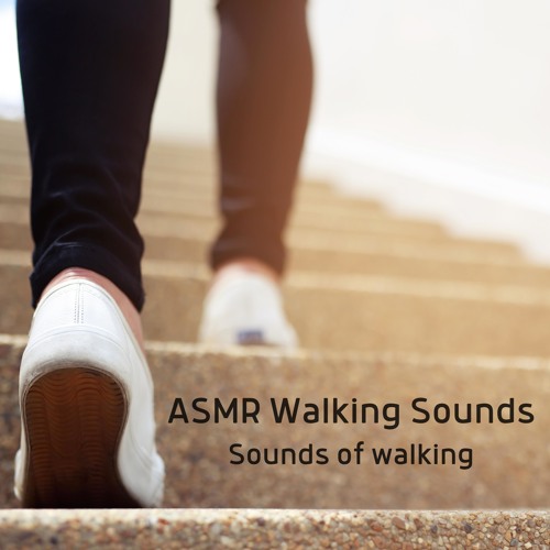 Stream A Slow Walk in the Forest by ASMR Walking Sounds | Listen online ...