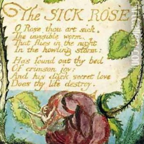 Stream The Sick Rose by Mysterious Inventors | Listen online for free ...