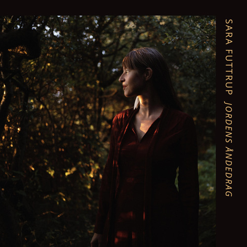 Stream Det Danmark som jeg elsker by Sara Futtrup | Listen online for ...