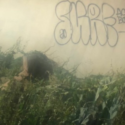 Stream POLO PERKS AND 1600J - TEC PROD EVILGIANE #SURFGANG by surf gang ...