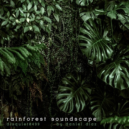 Stream Rainforest Soundscape (disquiet0499) by Daniel Diaz | Listen ...