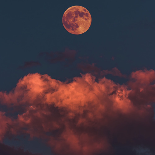 Stream Blade Runner- Love Theme by angel.mp3 by angel cry | Listen ...