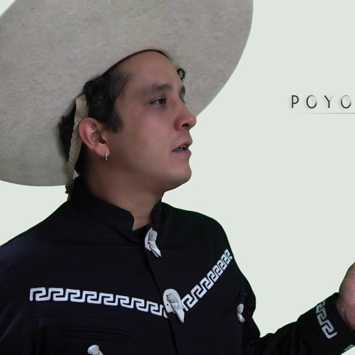 Stream Paloma Mia - Poyo Rodríguez by Poyo Rodríguez | Listen online ...