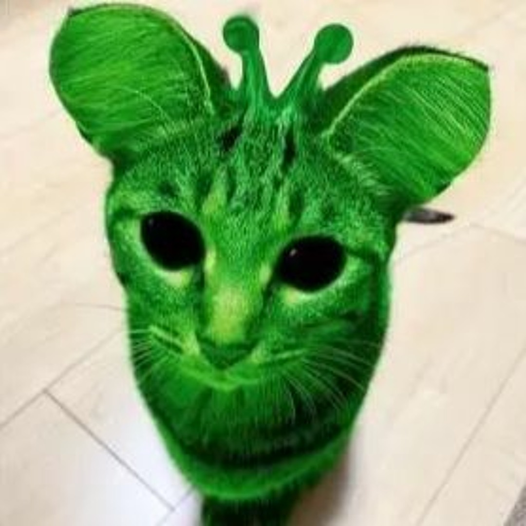 Stream Saturday Alien Freestyle by Nigga Cat | Listen online for free ...