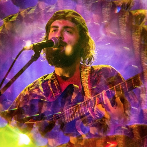 Stream Weeping Willow - Mild High Club [Cover] by Nick Spiess | Listen ...
