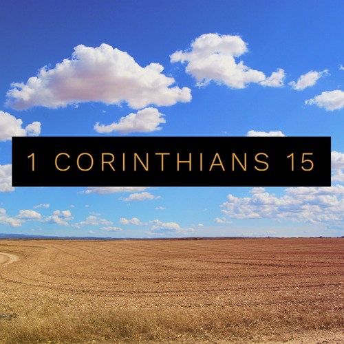 Stream 1 Corinthians 15:29-34 | The Benefits of Our Resurrection by ...