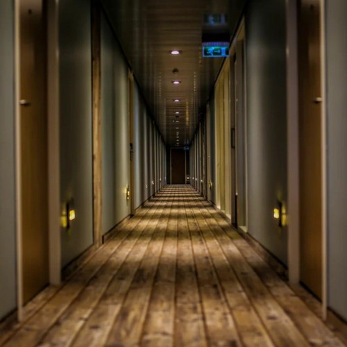 Stream 𝔅𝔢𝔳𝔢𝔯𝔩𝔶 ℌ𝔦𝔩𝔩𝔰 ℌ𝔬𝔱𝔢𝔩 by 𝔅𝔯𝔞𝔫𝔡𝔬𝔫 𝔏𝔢𝔢 𝔅𝔩𝔞𝔱𝔠𝔥𝔣𝔬𝔯𝔡 | Listen online ...