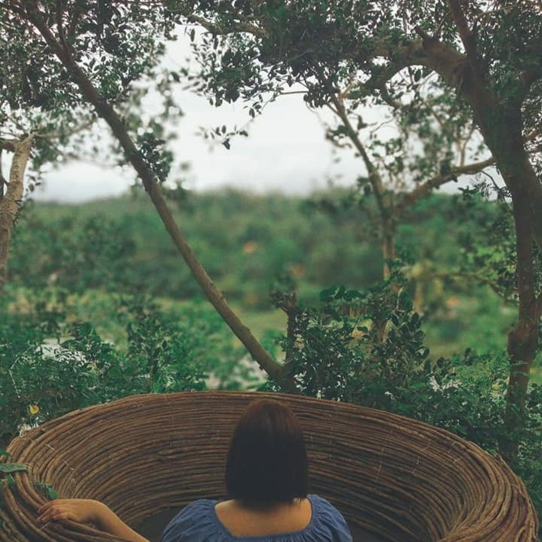 Stream Jini Bells | Listen to Ten Thousand Joy playlist online for free on SoundCloud