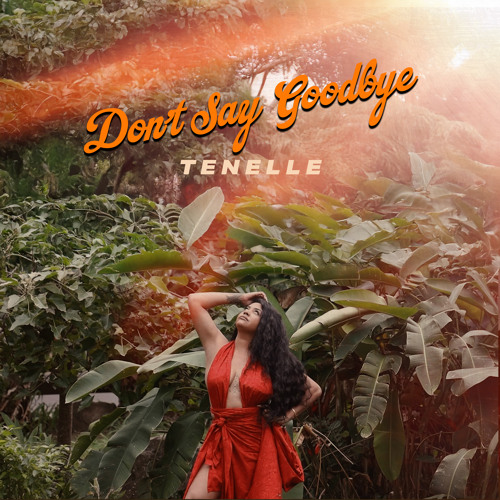 Stream Don't Say Goodbye by Tenelle | Listen online for free on SoundCloud