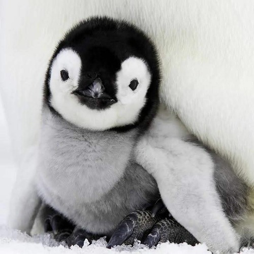 Stream we are EXTRAORDINARY by Tyler CYBERPUNK | Listen online for free ...