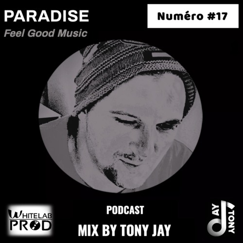 Stream MIX PARADISE BY TONY JAY N°17 by TONY JAY | Listen online for ...