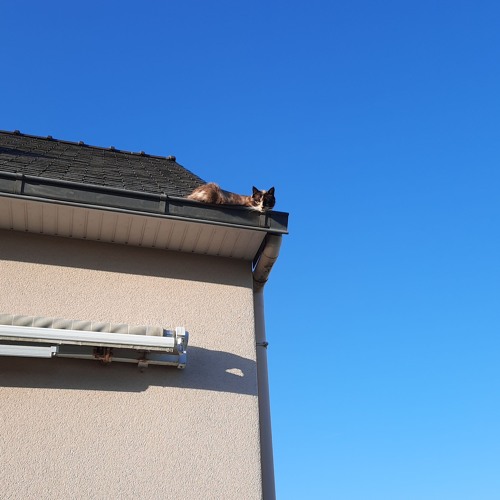 Stream Pas d'idée de titre (Prod. Dxrts) by julal | Listen online for ...