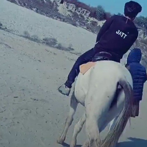 Stream CVRTOON_-_Plevne_(Yeni_-_Symphonic_Mehter_Trap)(128k) by DeXent Jutt | Listen online for ...