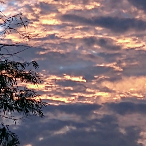 Stream episode Papa purusha visarjanakrama suladi - Raga:Saveri by ...