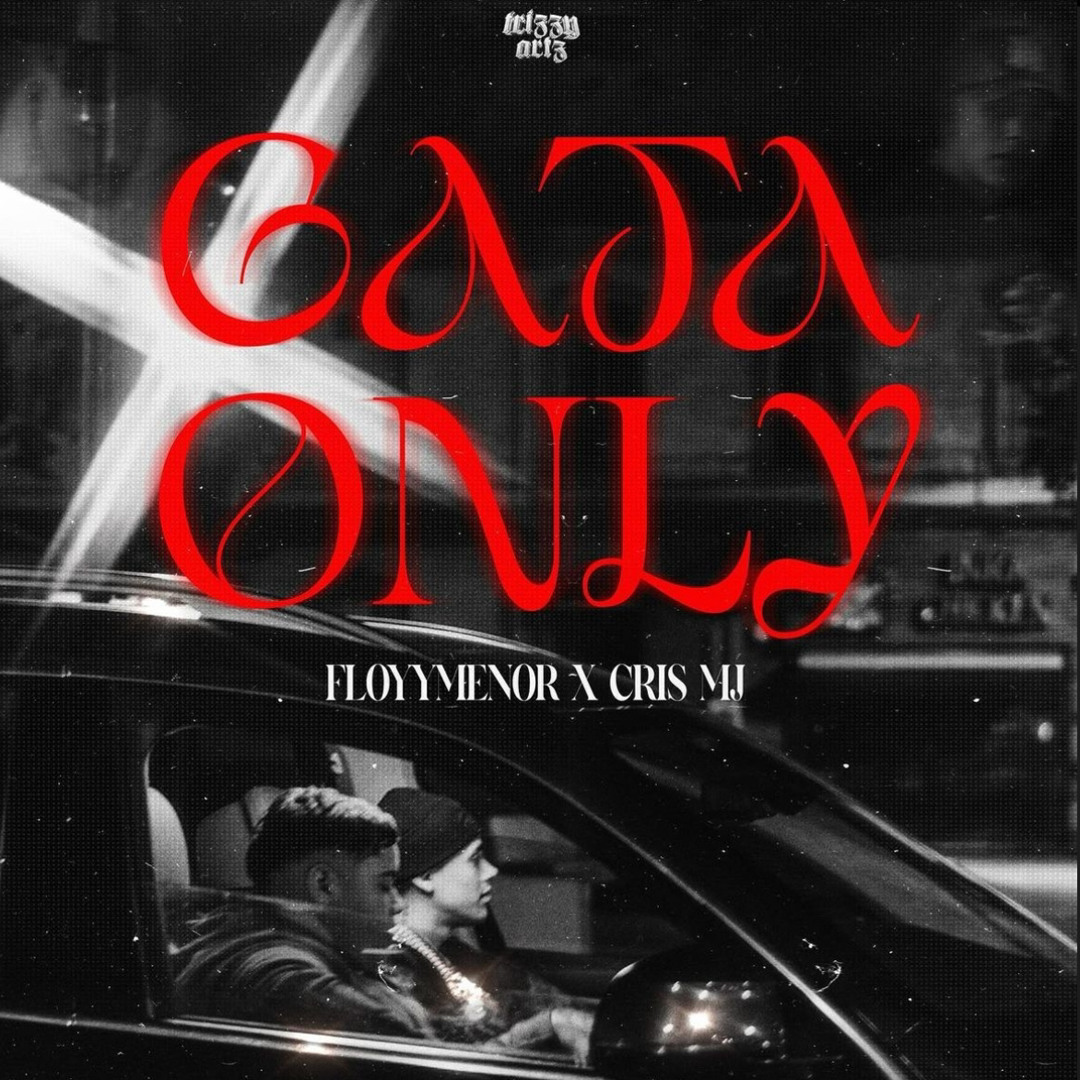 Stream User 210882342 | Listen to Gata Only one hour playlist online ...