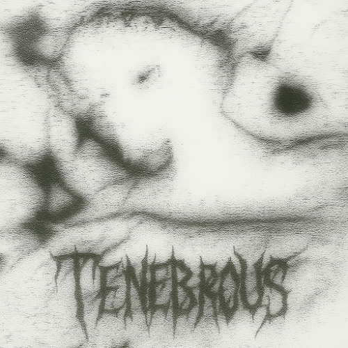 Stream RrufusS - TENEBROUS (MEGA SLOWED) by Rukaasuu | Listen online ...
