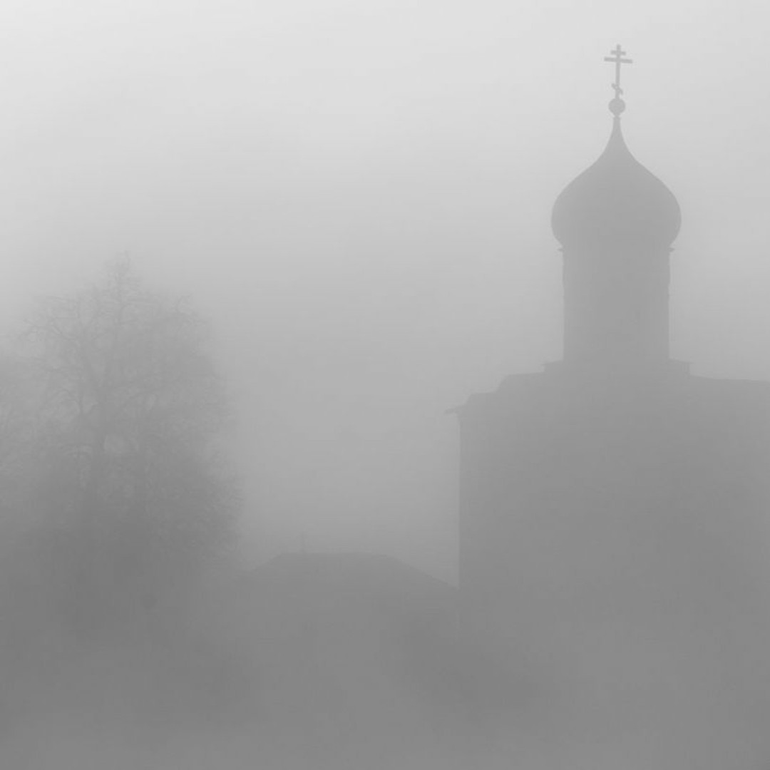 Stream luminarium set (+aerith +oiwa +danielforests +kurchev +secretss ...