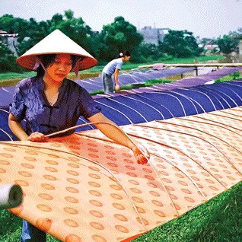 Stream 10 HA TAY QUE LUA by BeerDuc | Listen online for free on SoundCloud