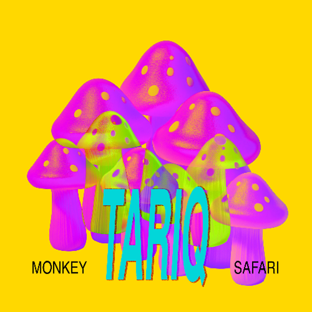 Stream Premiere: Monkey Safari - Tariq [Good Vibes From Paradise] by ...