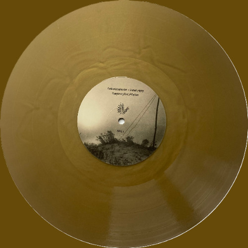 Stream indian poppy - vocal version (featuring Eric Pfeifer) by ...