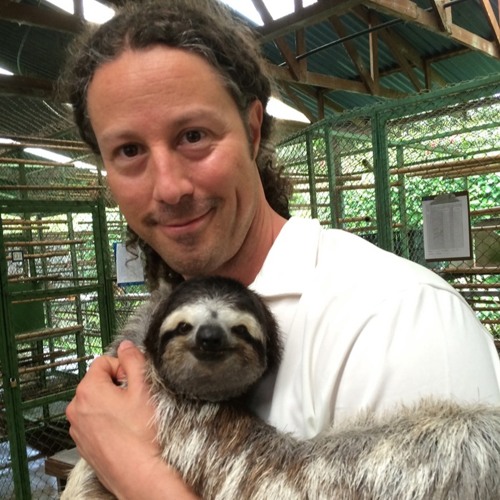 Stream episode Michael Butcher "Sloths" by Soft Robotics Podcast ...