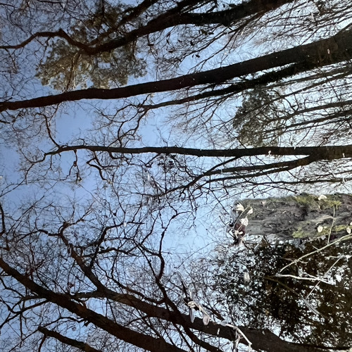 Stream WHATEVER by Noah Raughton | Listen online for free on SoundCloud