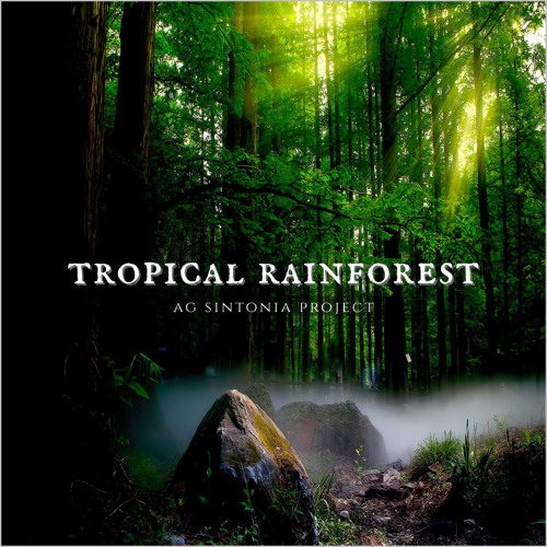 Stream Tropical Rainforest by AG Sintonia Project | Listen online for free on SoundCloud