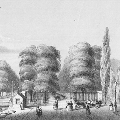 Stream Conférence : L’Allée Verte, un modèle d’allée-promenade publique ...