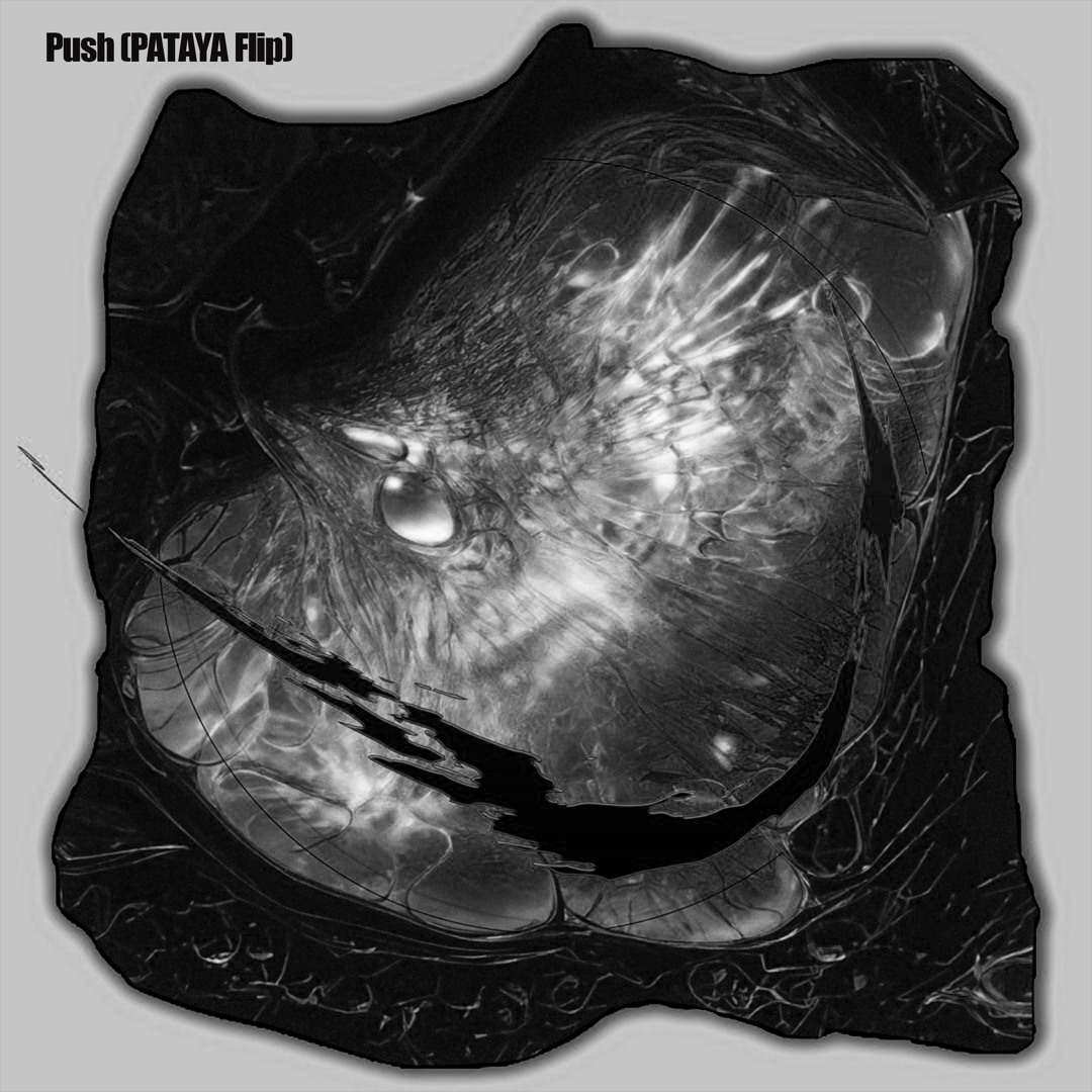 Stream Skrillex, Hamdi, TAICHU & OFFAIAH - Push (PATAYA Flip) by PATAYA ...