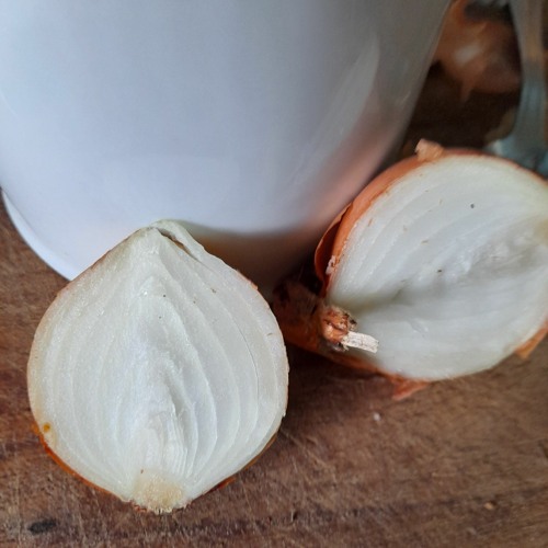 Stream ONION by Robert Shrigley Woolf | Listen online for free on ...