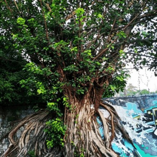 Stream GTG Nowhere For No One (Master) by Alvin Quizon | Listen online ...