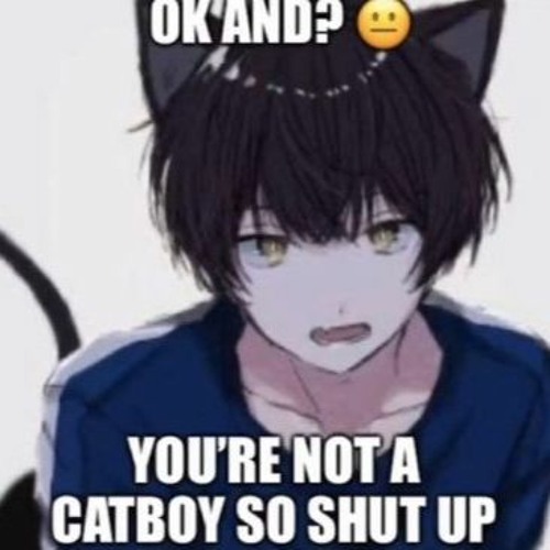 Stream RYLORIE X ROSHYW - C4T G1RL PR1NC355 (2020) by roshyw | Listen ...