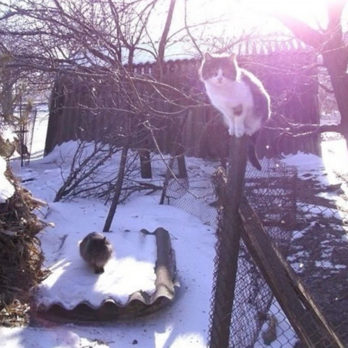 megan - not scared anymore @six-days-after-christmas - Listen to music