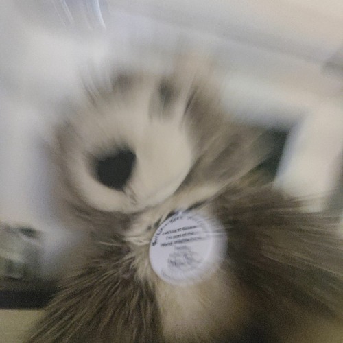 Stream I Like Cartoons, Why Don't You? by Justin Sundstrom | Listen ...