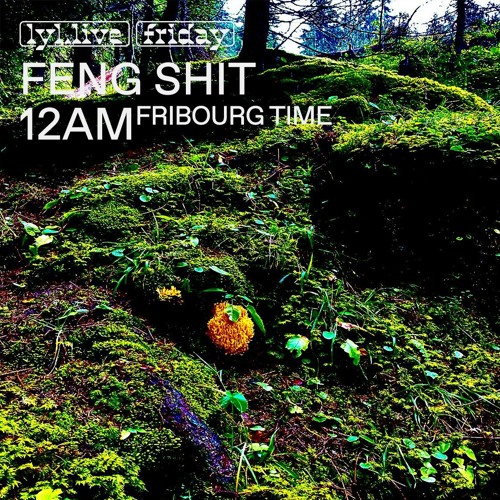 Stream Feng Shit #29 w/ Los Pashminas by Décalé Records | Listen online ...