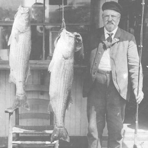 Stream Temporary Man by BIG PHARMA by BIG PHARMA (***R. Ives ...