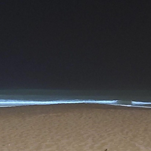 Stream ѕιℓι¢α gєℓ вєα¢н by matt stidham | Listen online for free on ...