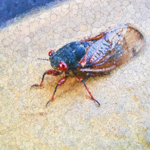 Stream Cicada song by Brett Florence | Listen online for free on SoundCloud